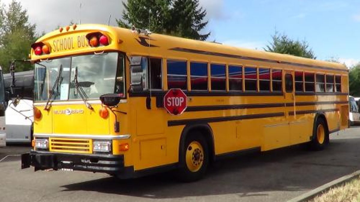 1992 International School Bus Engine