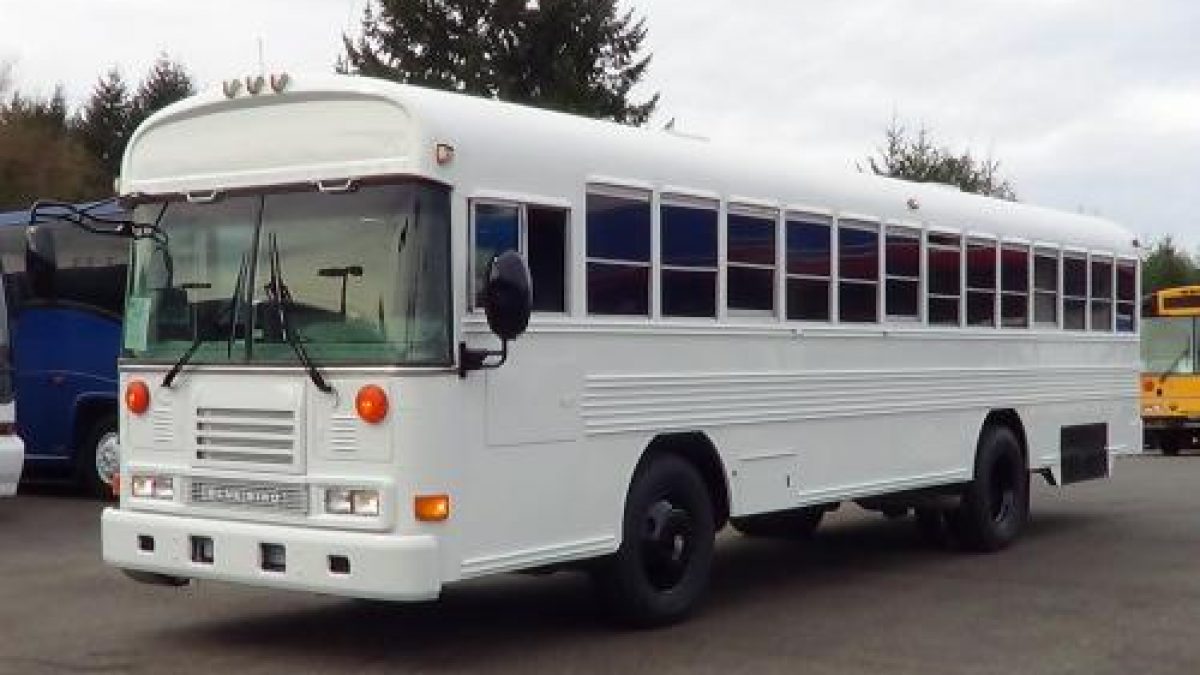 White Bluebird Bus