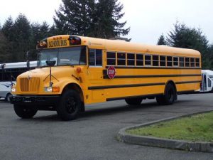 IC School Bus - 13 Row - 77 Passenger | Northwest Bus Sales, Inc