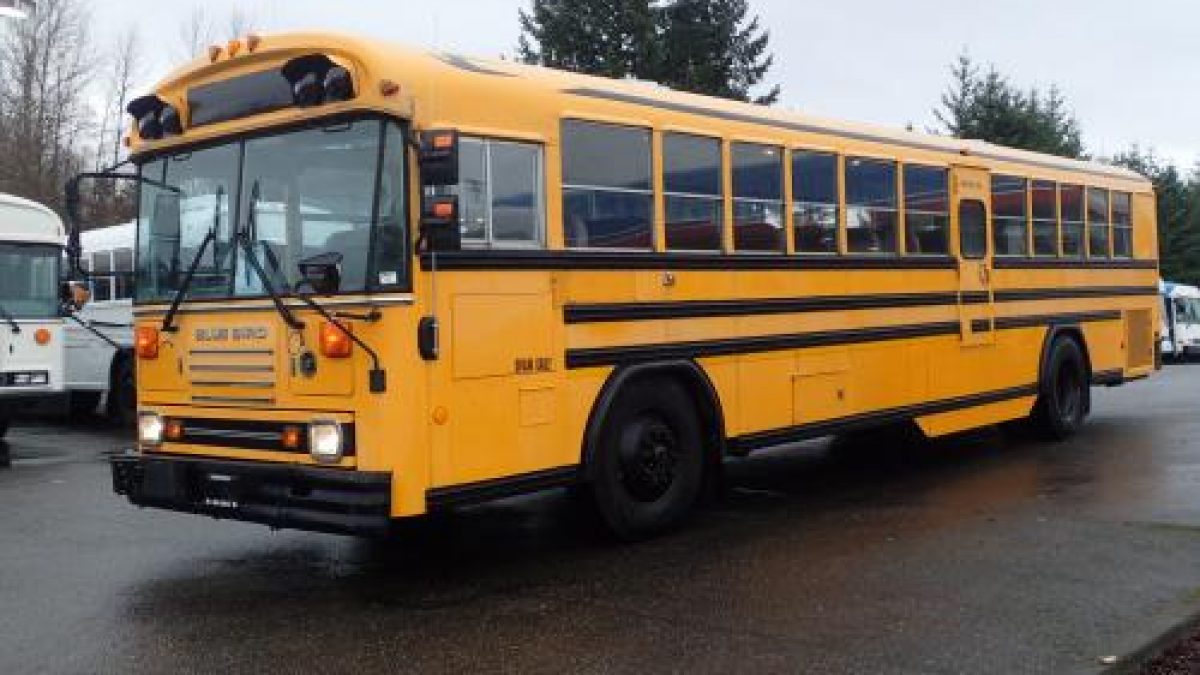 1996 Buses