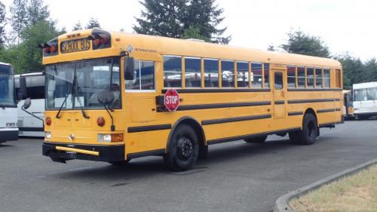 1999 Amtran School Bus 991 By HammerBroFanatic On, 53% OFF