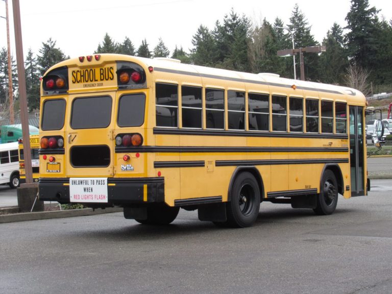 2006 Blue Bird All American 45 Passenger School Bus - B37229 ...