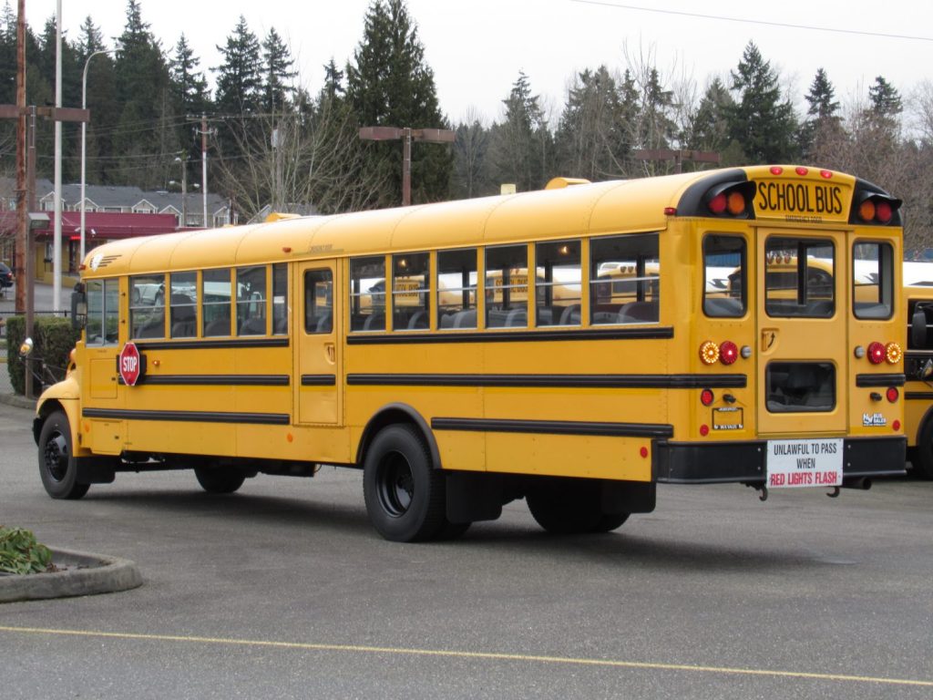 2005 International CE-300 77 Passenger Conventional School Bus - B87785 ...