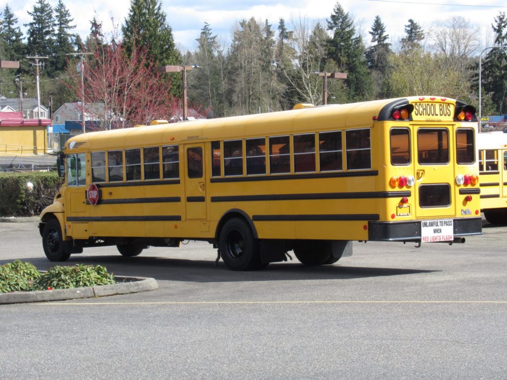 2005 International CE-300 71 Passenger Conventional School Bus - B75505 ...