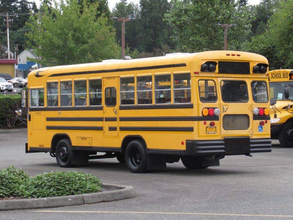 1998 Blue Bird TC-1000 Short School Bus For Sale - B76820 | Northwest ...