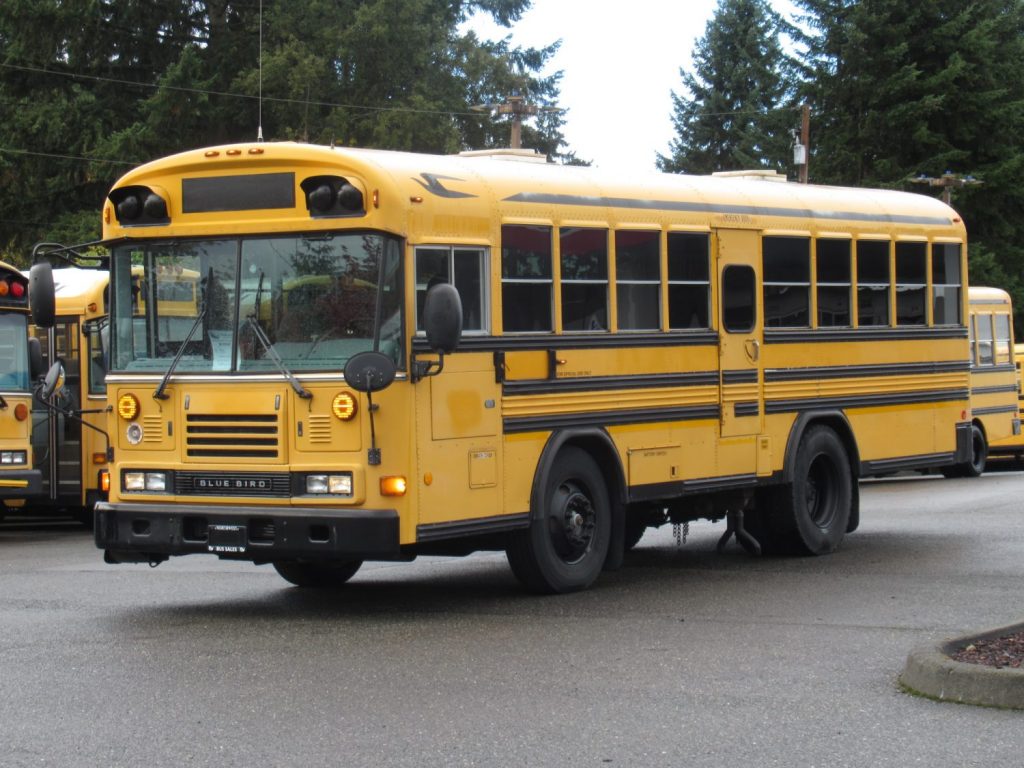 2004 Blue Bird All American 45 Passenger Short School Bus - B18595 ...