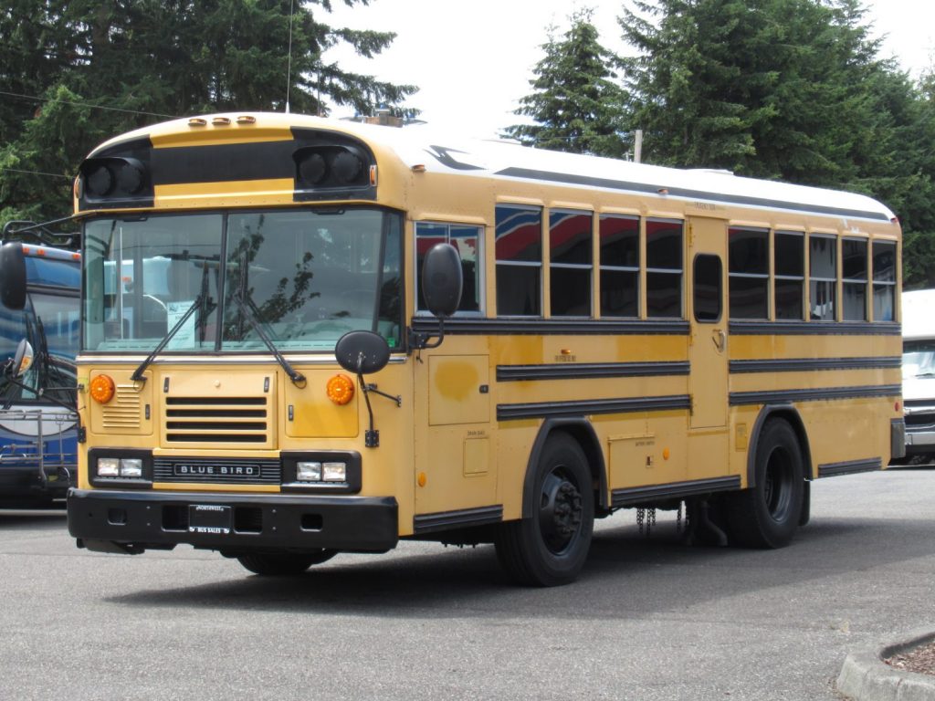 2009 Blue Bird All American 48 Passenger Short School Bus - B56638 ...
