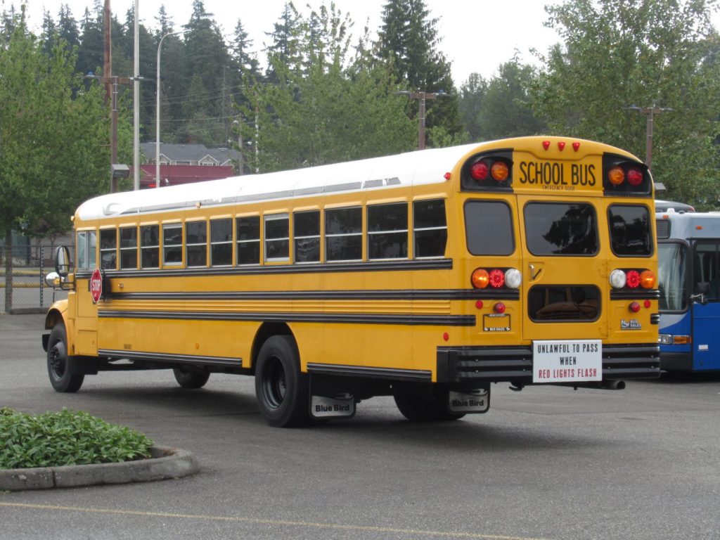2004 International Blue Bird Conventional 72 Passenger School Bus ...