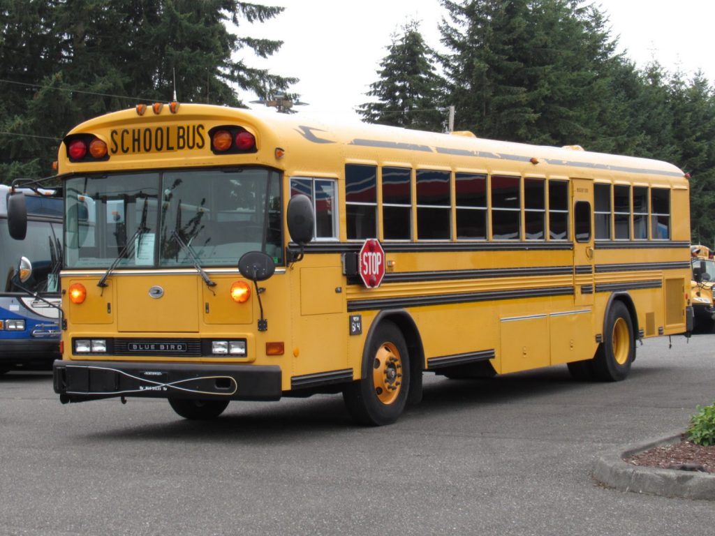 2005 Blue Bird All American 78 Passenger School Bus - B22923 ...