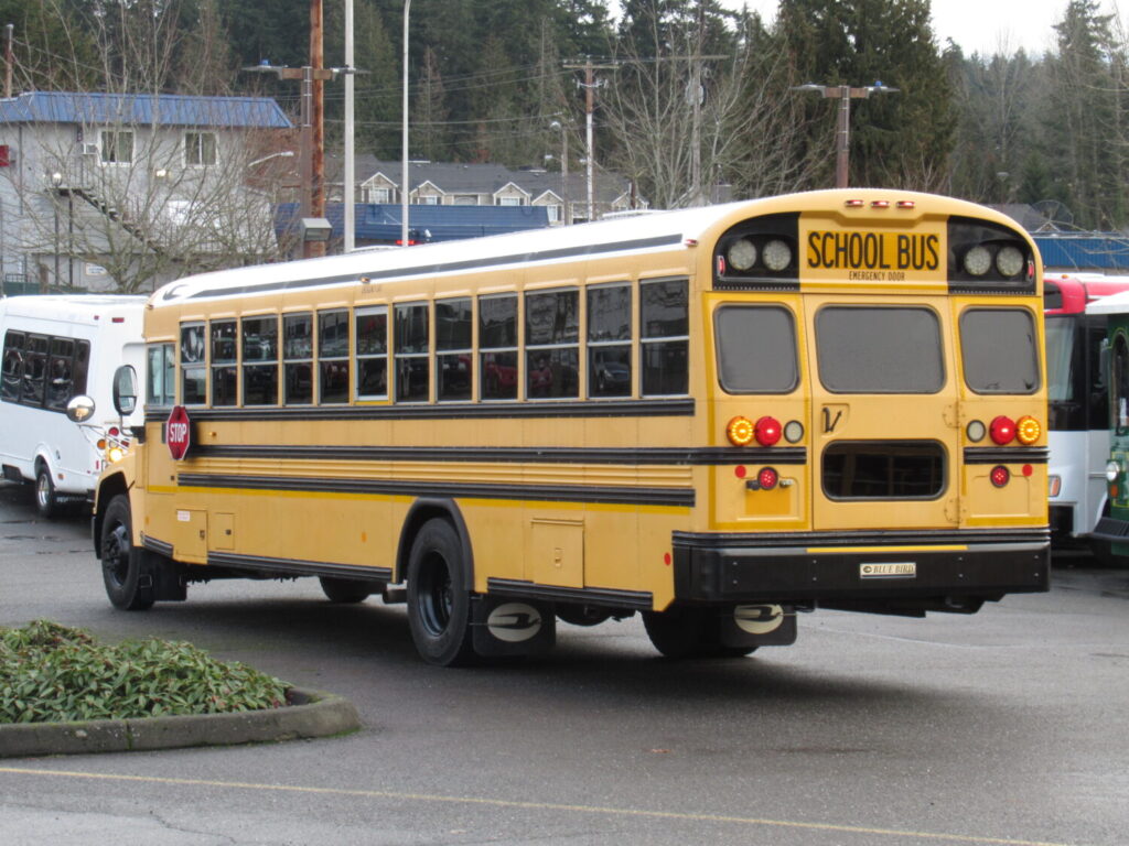 2010 Blue Bird Vision 66 Passenger School Bus - B72677 | Northwest Bus ...