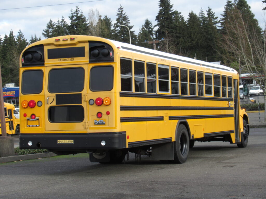2009 Blue Bird Vision 77 Passenger School Bus - B53816 | Northwest Bus ...