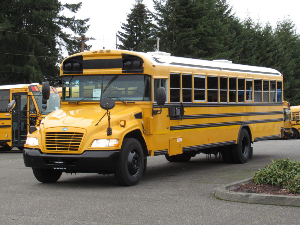 2009 Blue Bird Vision 77 Passenger School Bus - B53817 | Northwest Bus ...