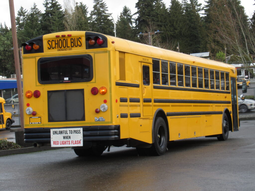 2003 International AmTran 78 Passenger School Bus - B56464 | Northwest ...