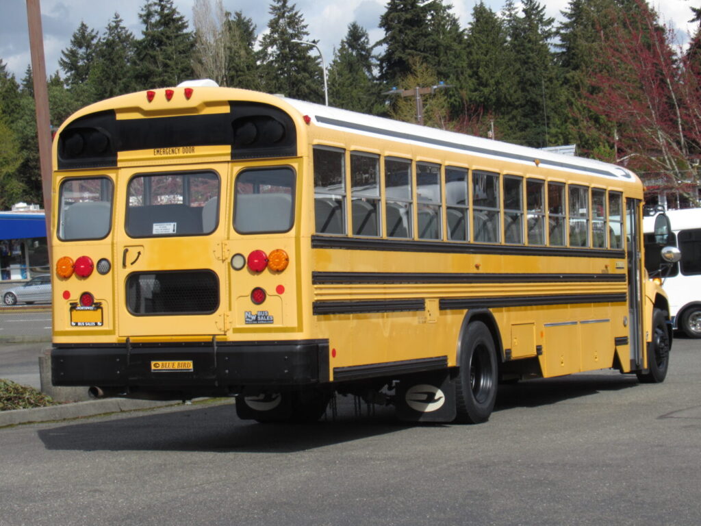 2010 Blue Bird Vision 71 Passenger School Bus - B69890 | Northwest Bus ...