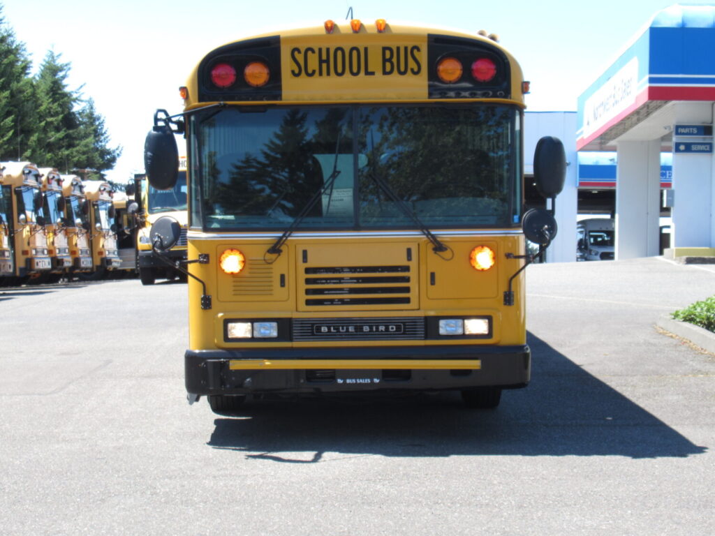 2008 Blue Bird All American 78 Passenger School Bus - B54348 ...
